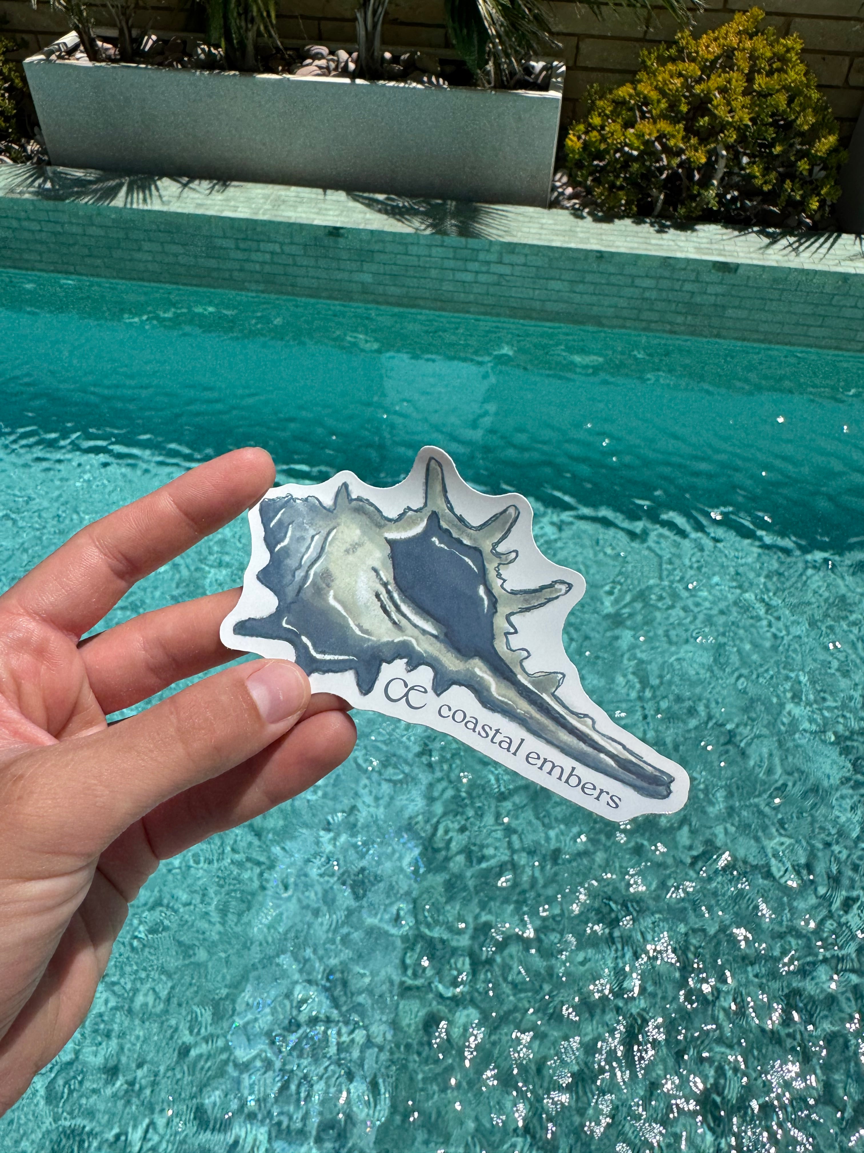 Conch Sticker – Coastal Embers