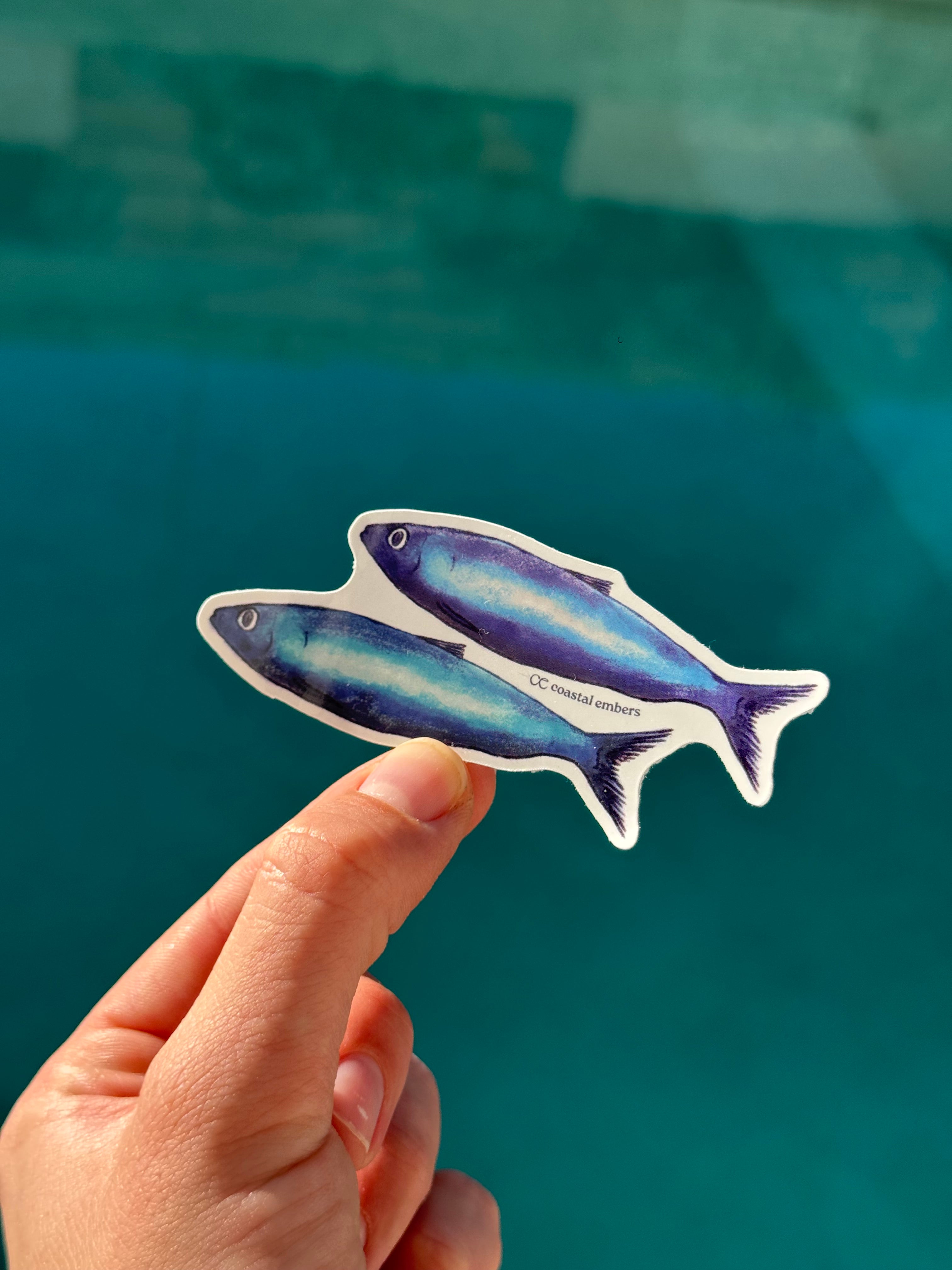 Sardines Sticker – Coastal Embers