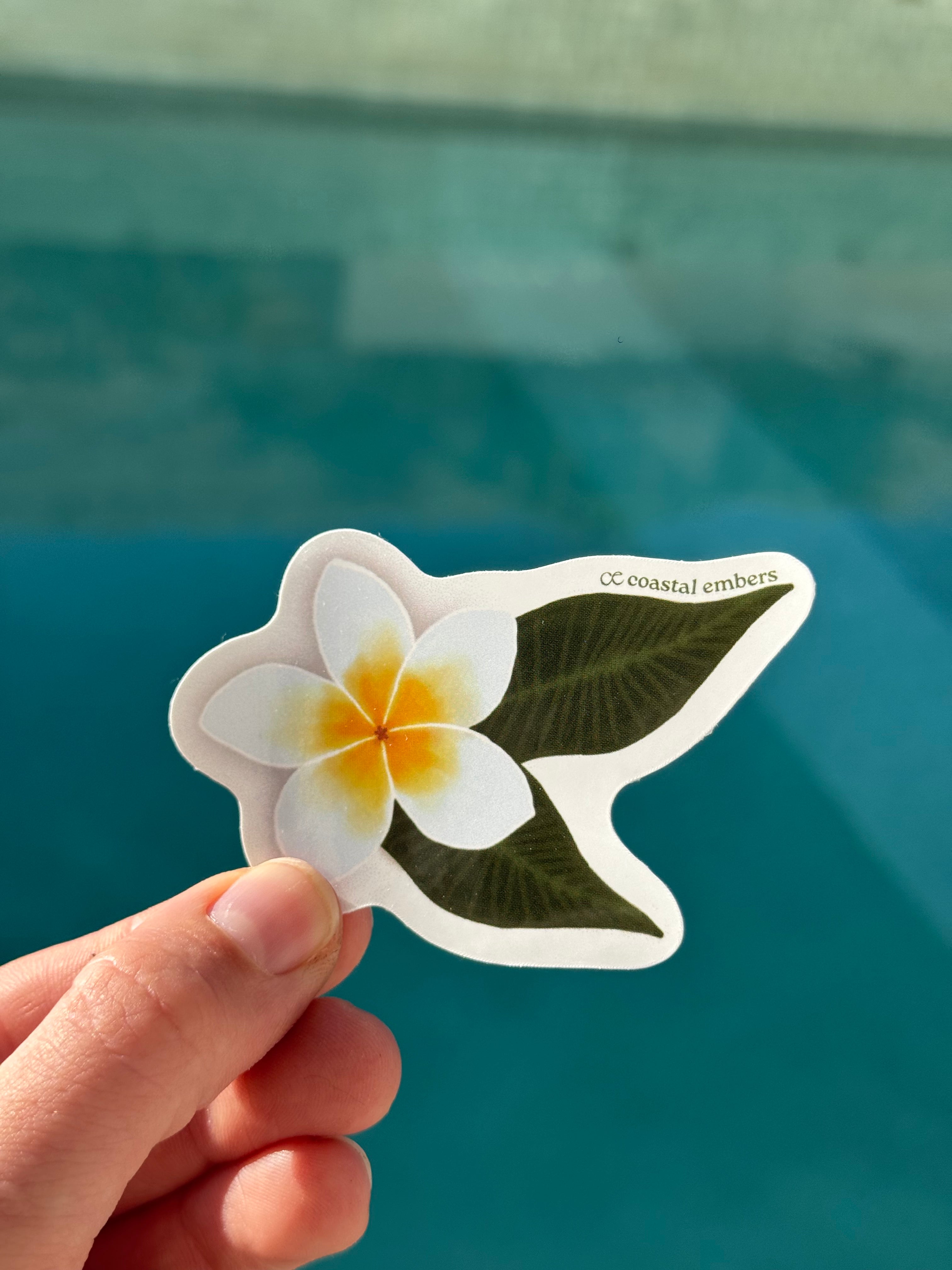 Frangipani Sticker – Coastal Embers