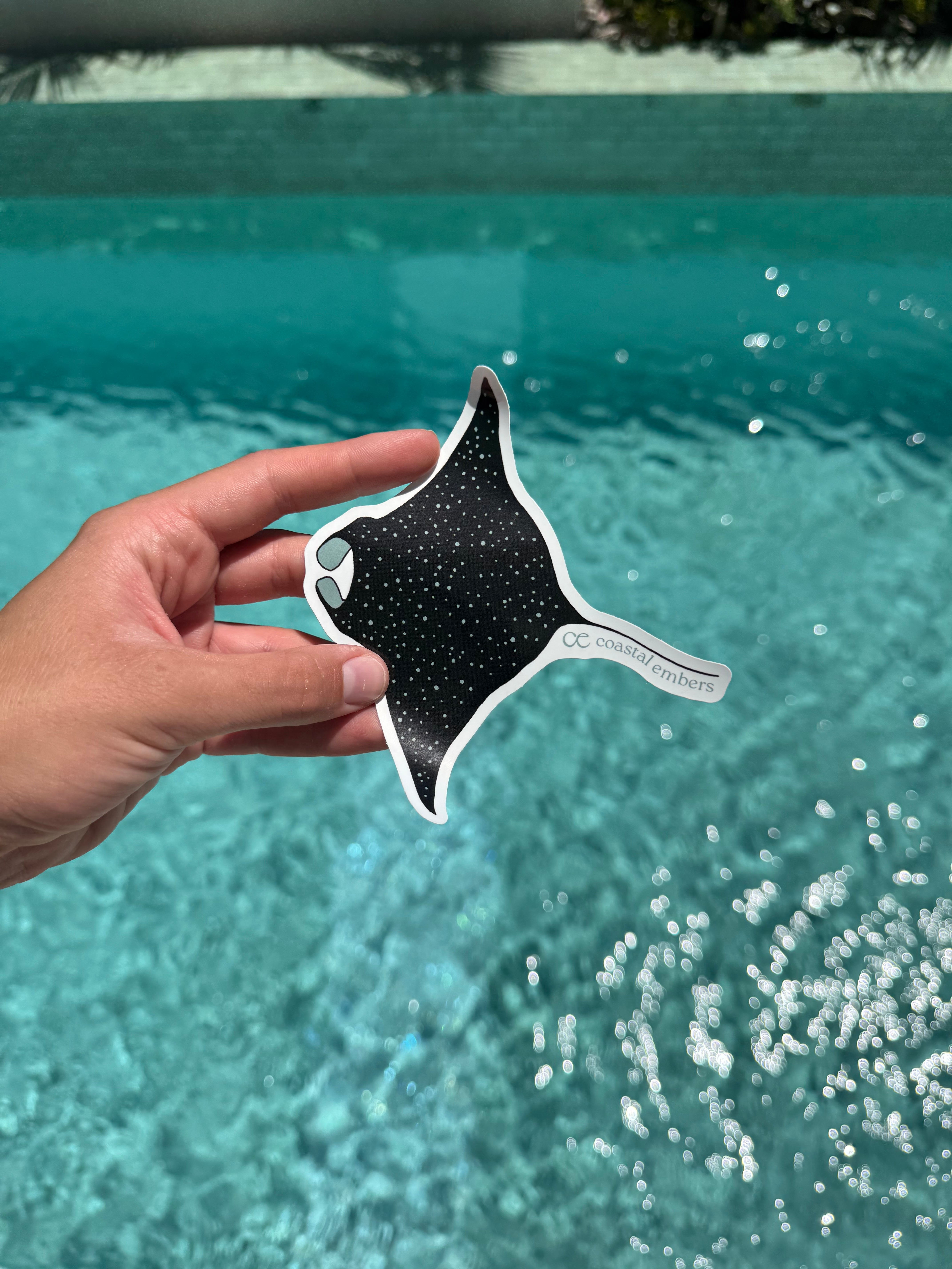 Manta Ray Sticker – Coastal Embers